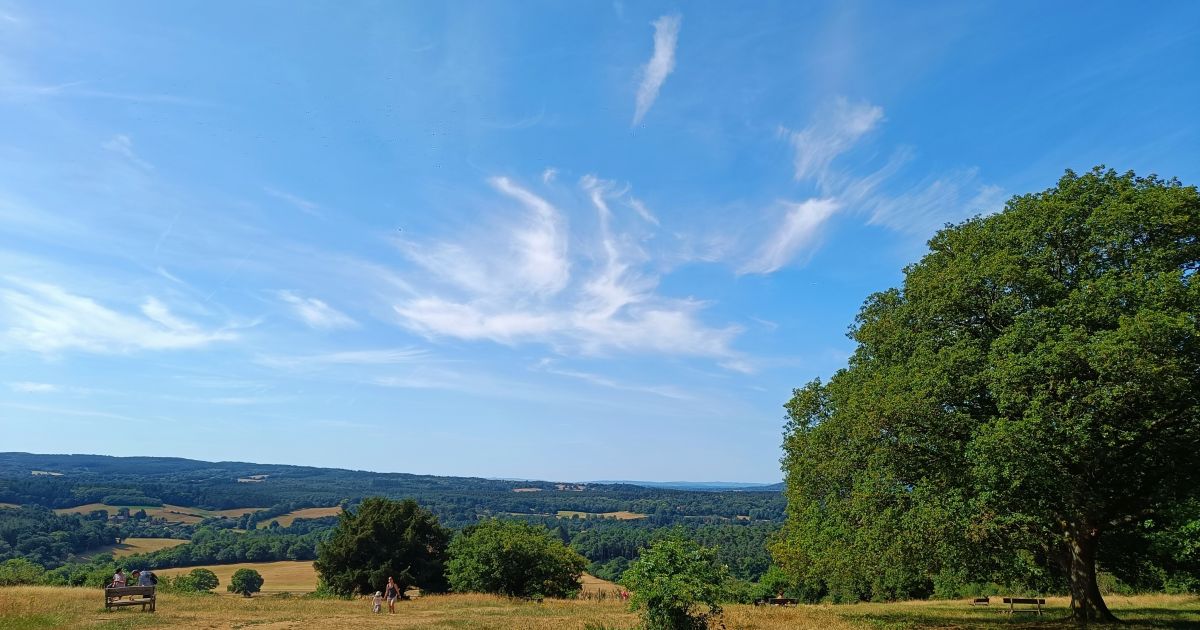 Newlands Corner, Albury, Silent Pool - Ramblers